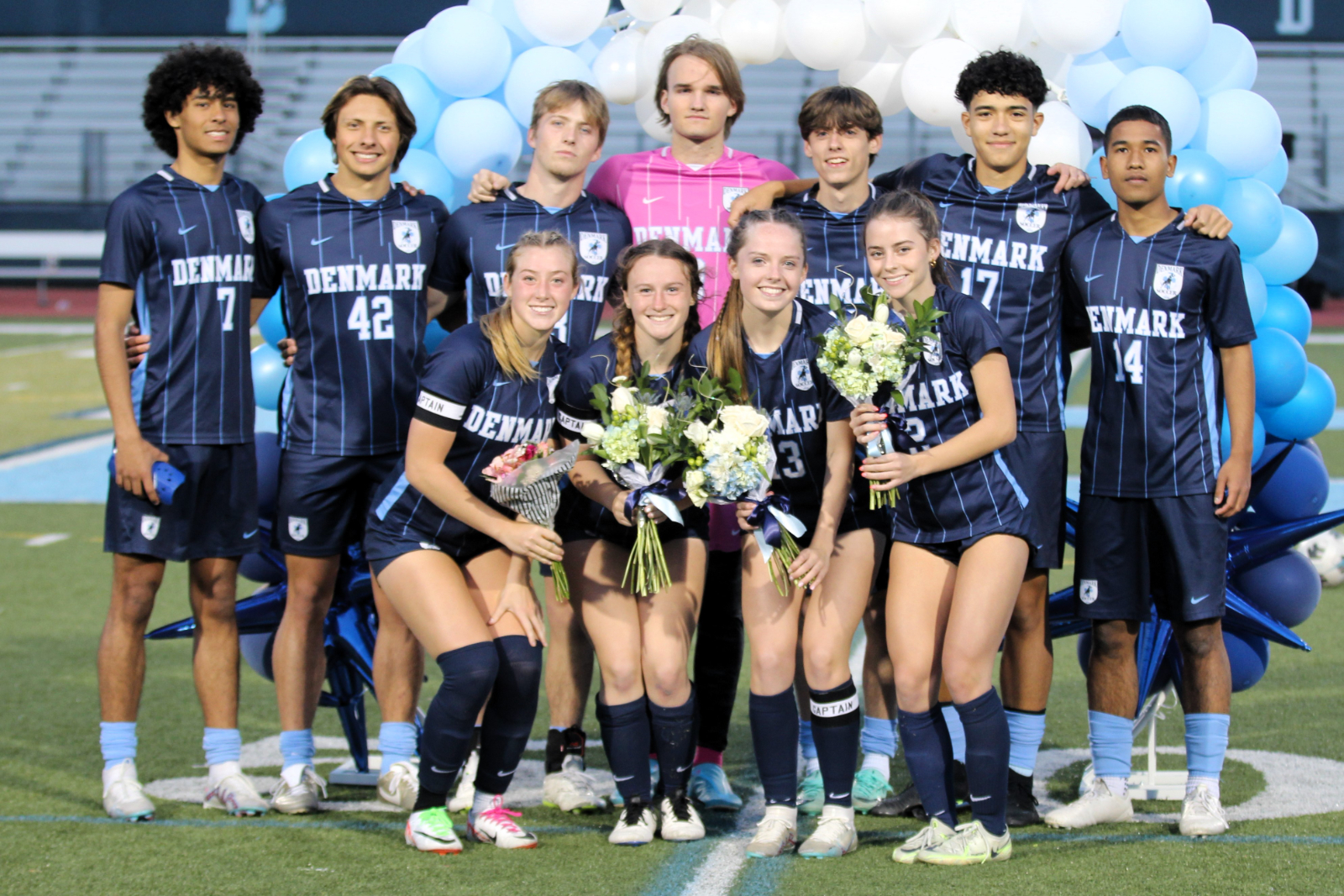 Denmark - Team Home Denmark Danes Sports