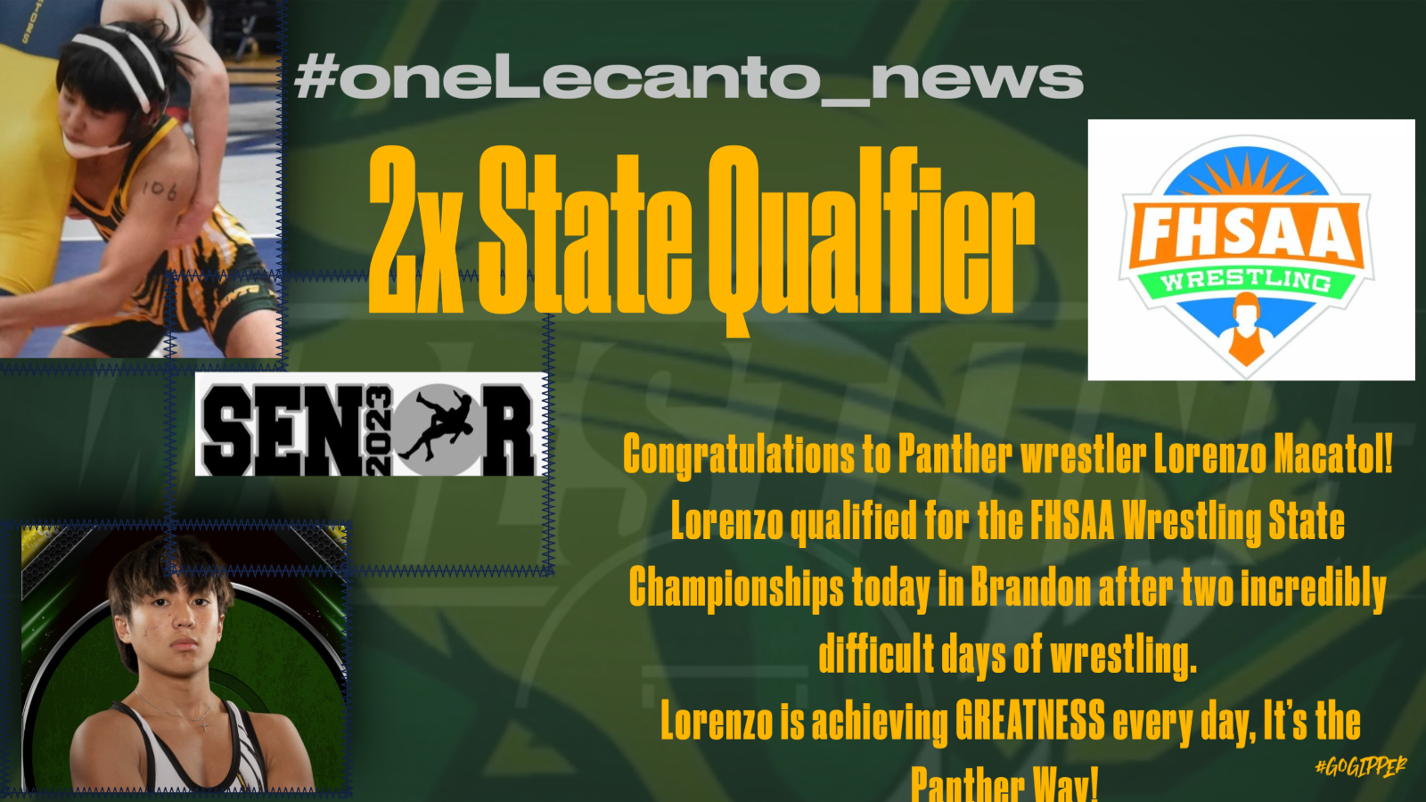 Lecanto - Team Home Lecanto Panthers Sports