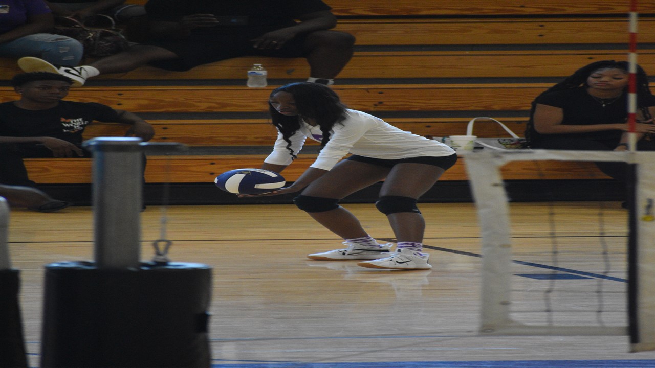 Miller Grove - Team Home Miller Grove Wolverines Sports