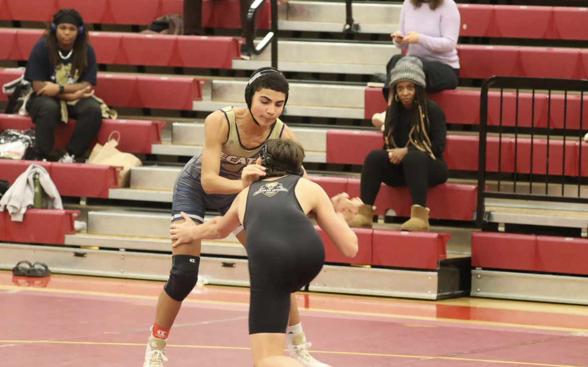 Decatur - Team Home Decatur Bulldogs Sports