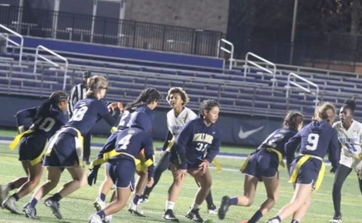 Decatur - Team Home Decatur Bulldogs Sports