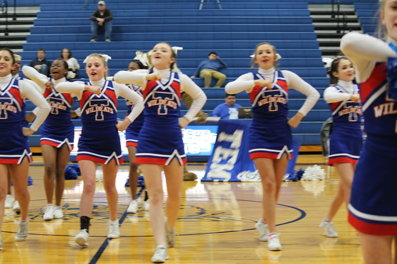 Temple - Team Home Temple Wildcats Sports