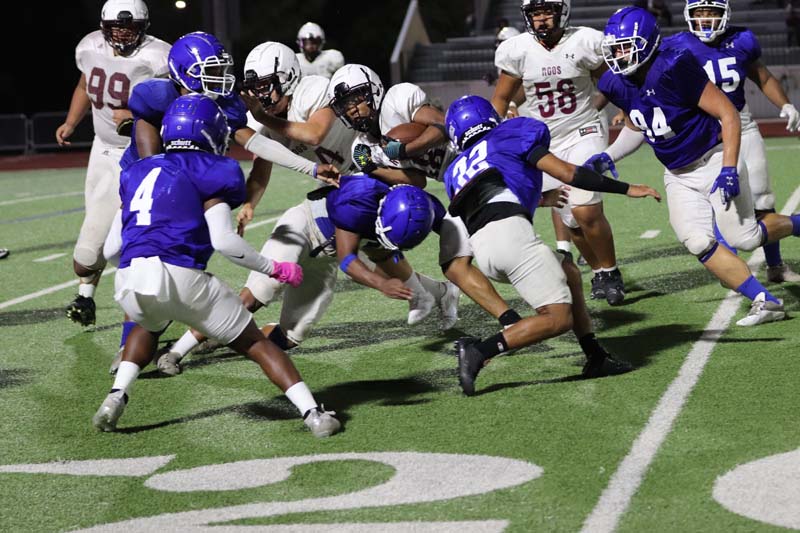 Temple - Team Home Temple Wildcats Sports