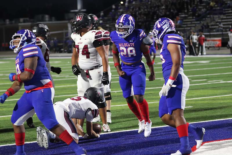 Temple - Team Home Temple Wildcats Sports