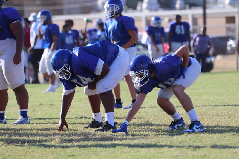 Temple - Team Home Temple Wildcats Sports