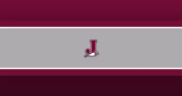Jordan - Team Home Jordan Beetdiggers Sports