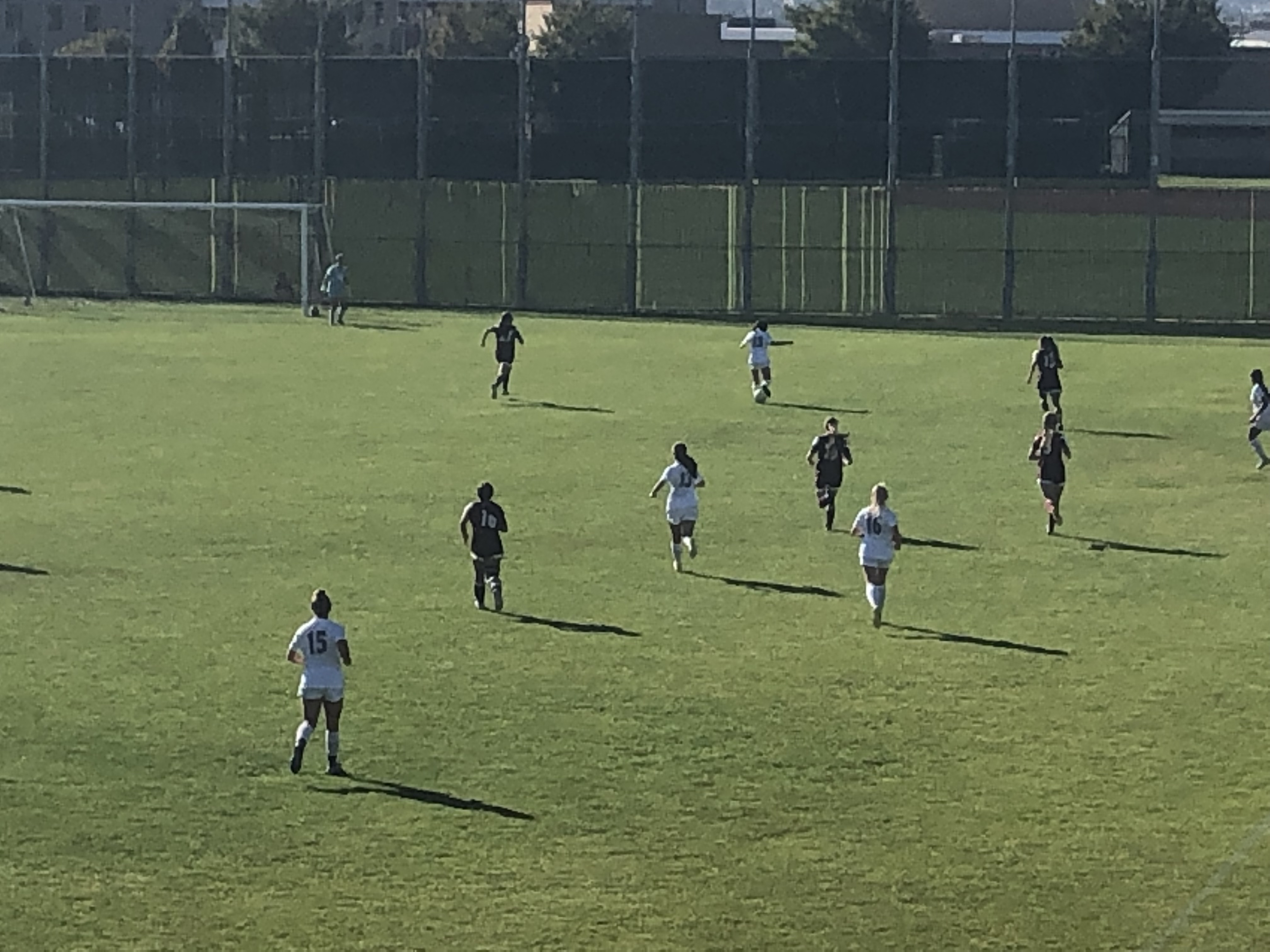 Jordan - Team Home Jordan Beetdiggers Sports