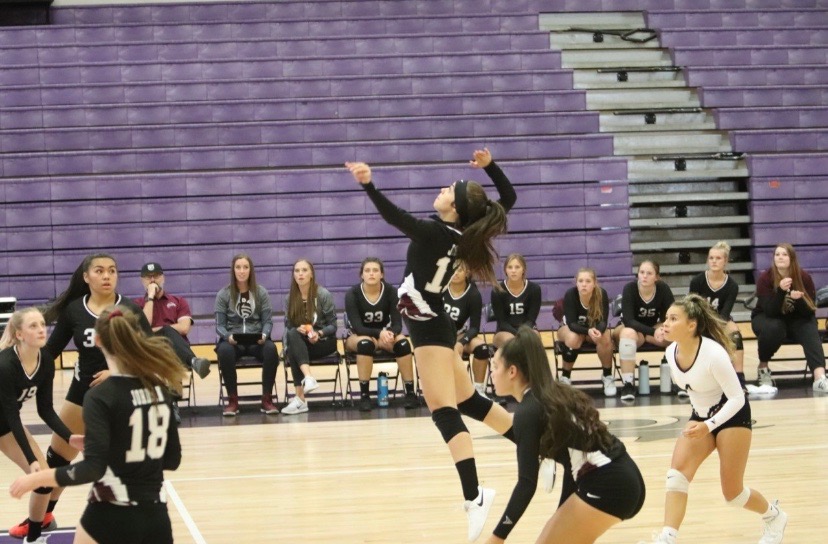 Jordan - Team Home Jordan Beetdiggers Sports