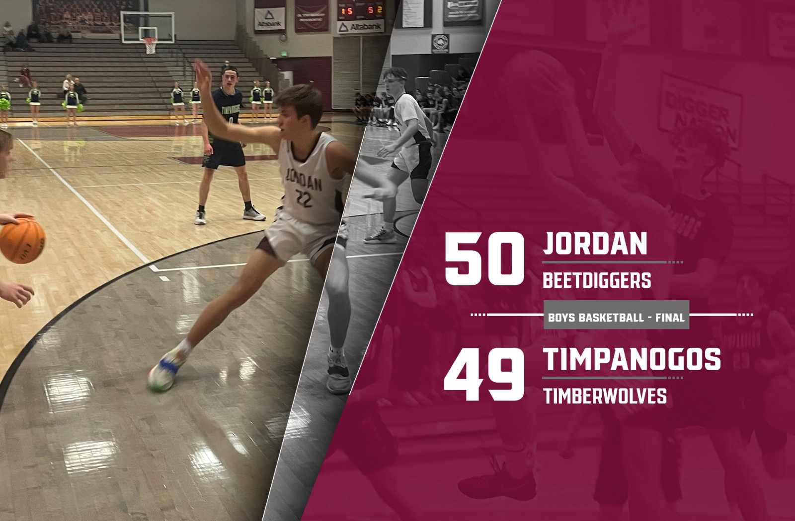 Jordan - Team Home Jordan Beetdiggers Sports