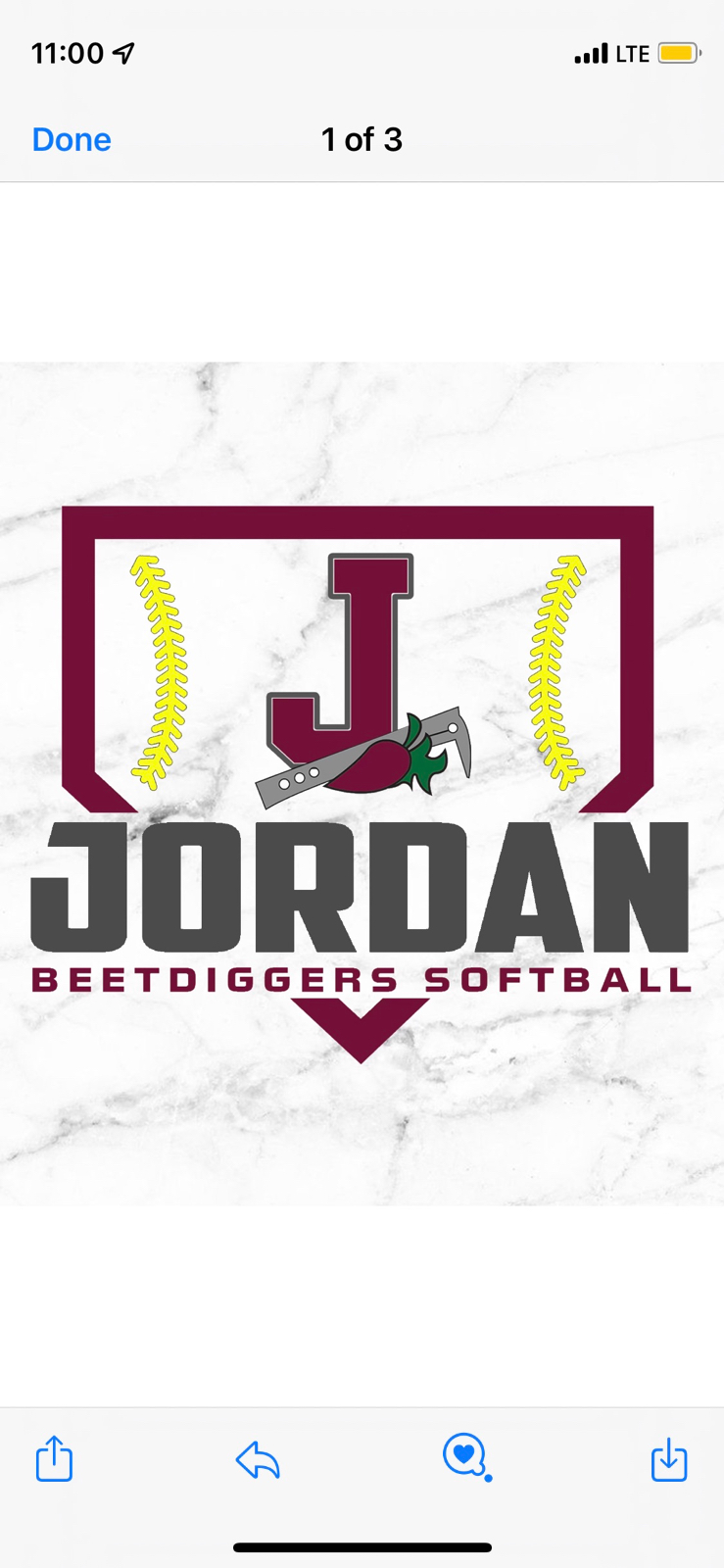 Jordan - Team Home Jordan Beetdiggers Sports