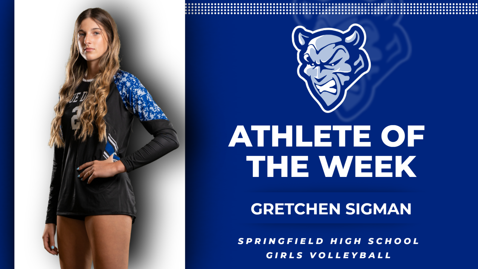 Springfield - Team Home Springfield Blue Devils Sports