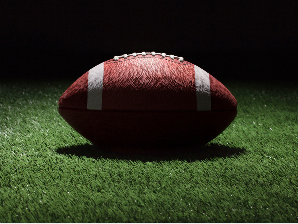 Griffith - Team Home Griffith Panthers Sports