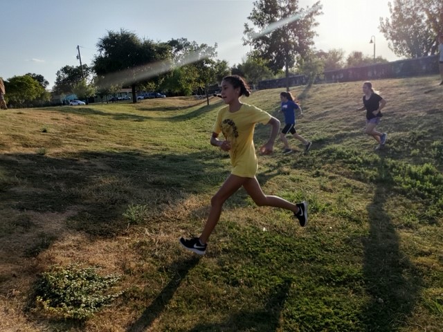 Kipp University Prep - Team Home Kipp University Prep State of Texas Sports