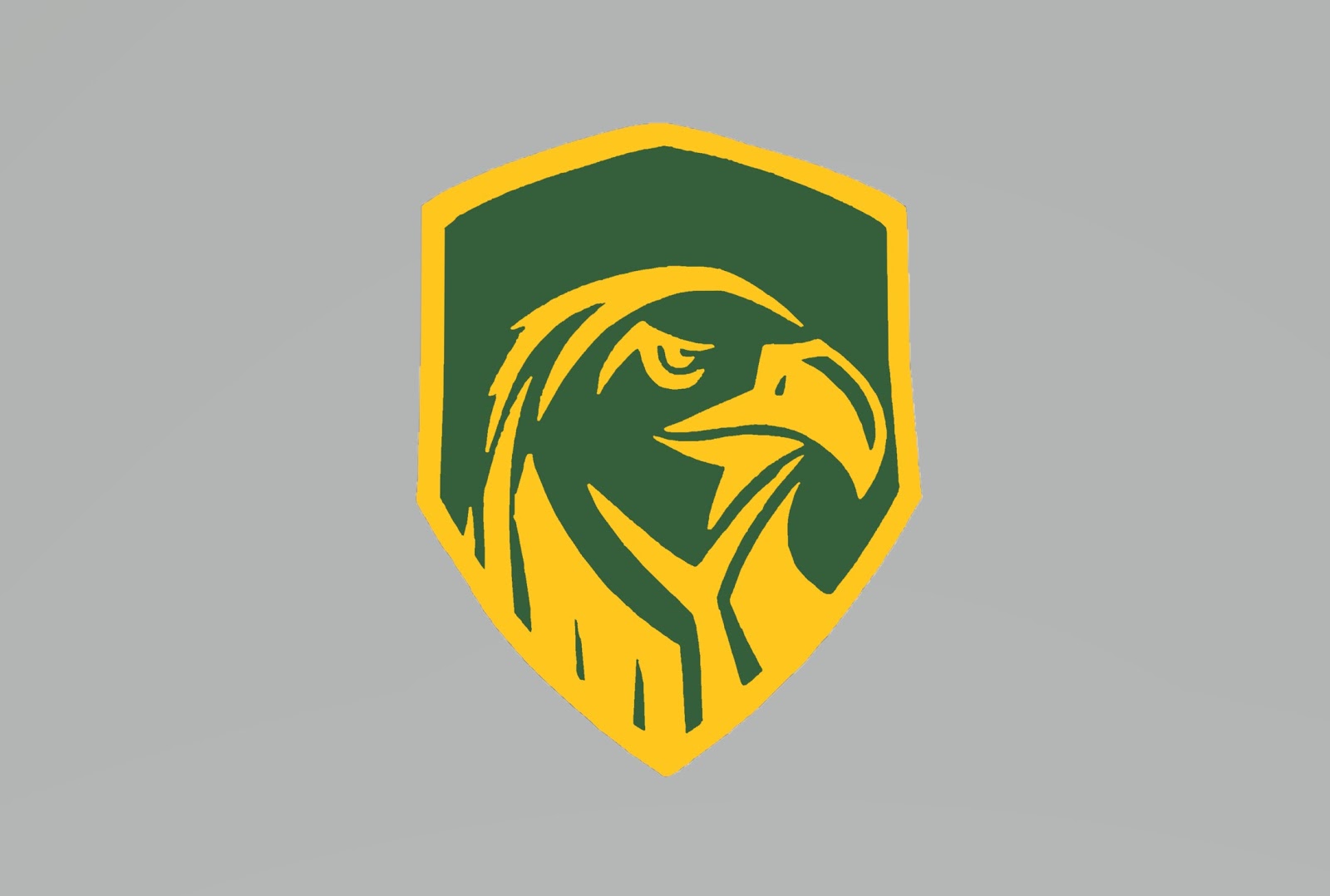 Madison-Plains - Team Home Madison-Plains Golden Eagles Sports