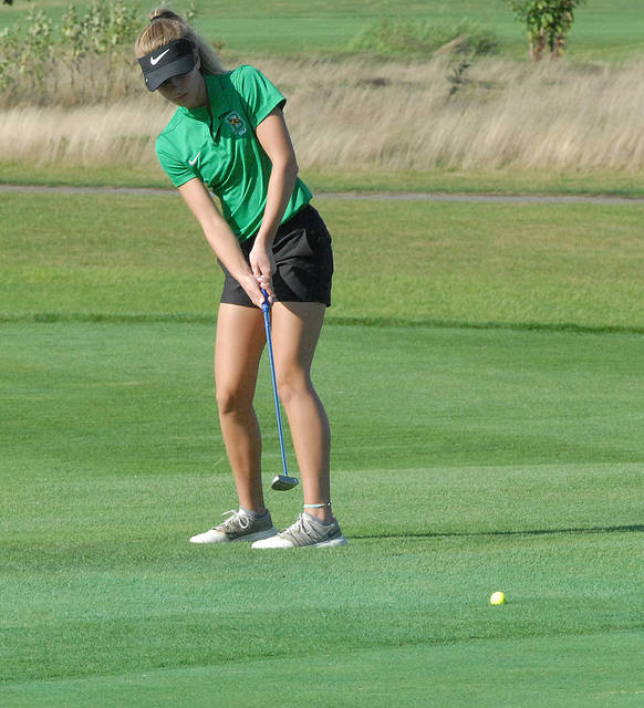 Bethel - Team Home Bethel Bees Sports