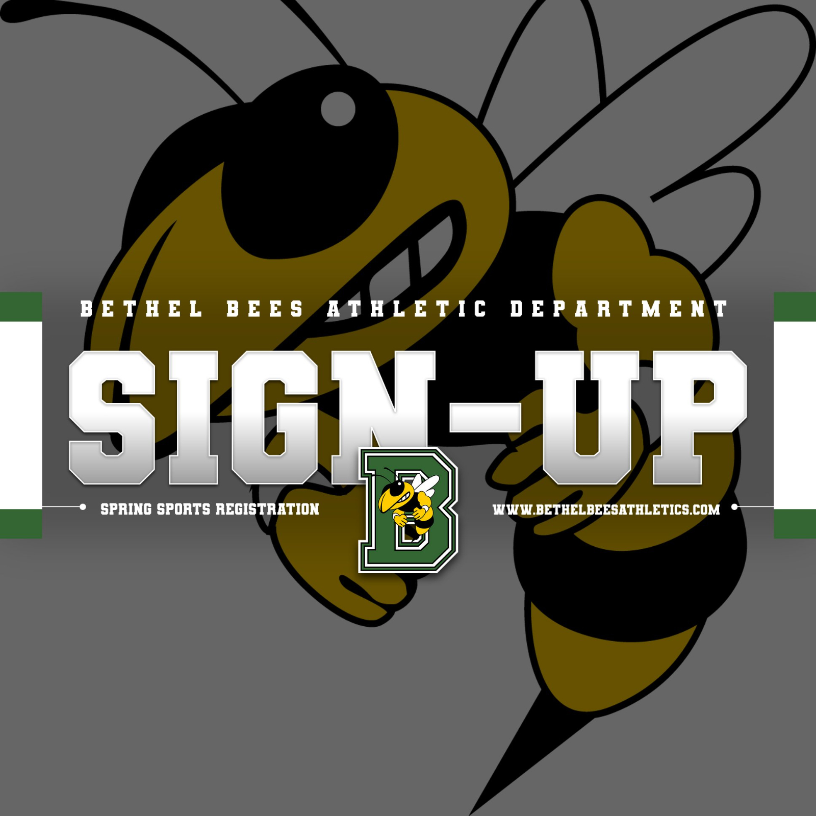 Bethel - Team Home Bethel Bees Sports