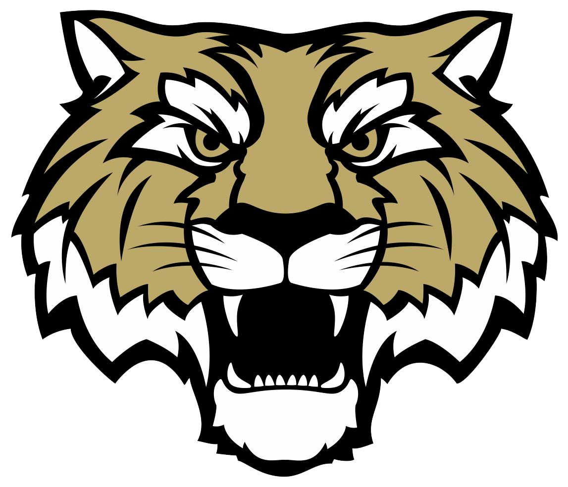 Girls Varsity Basketball Schedule | Cardinal Ritter High School