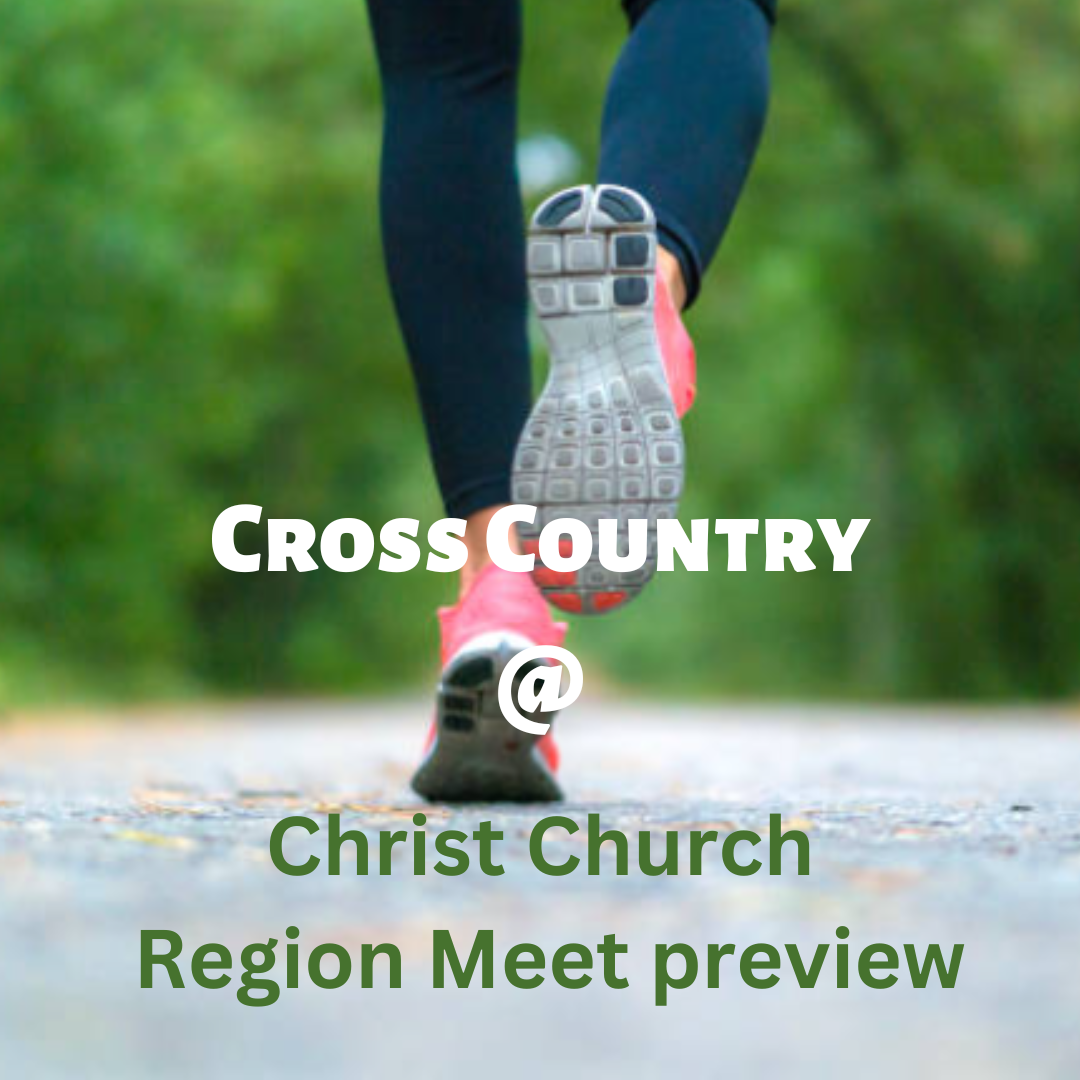 Brashier Middle College Charter School - Team Home Brashier Middle ...