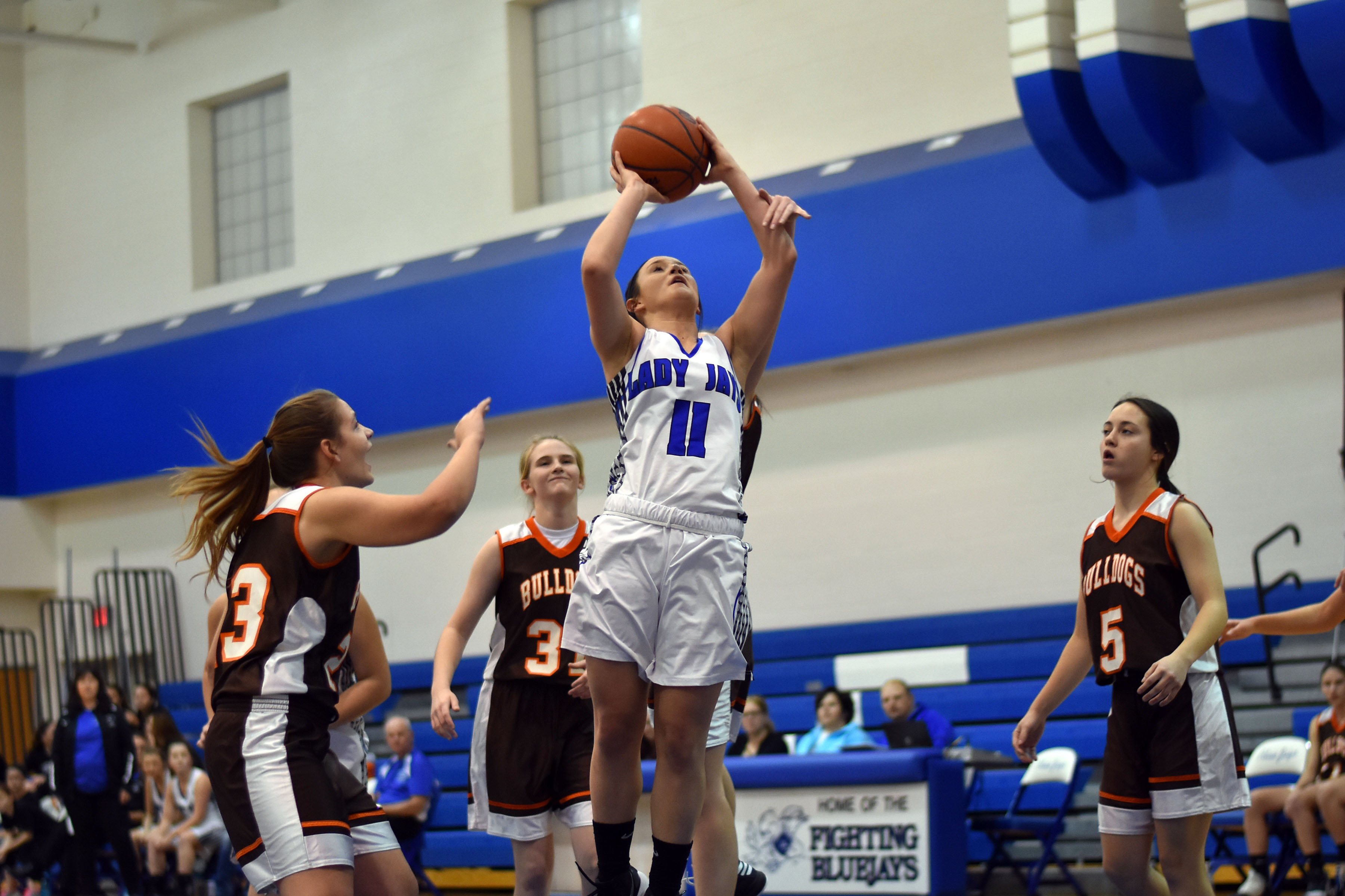 Jackson-Milton Local - Team Home Jackson-Milton Local Blue Jays Sports