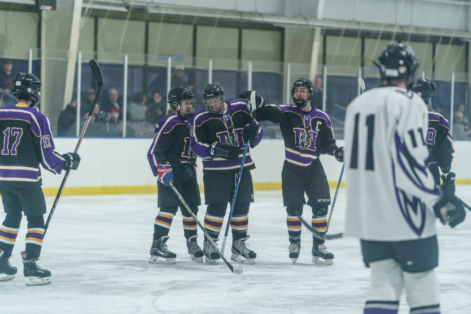 Maumee - Team Home Maumee Panthers Sports