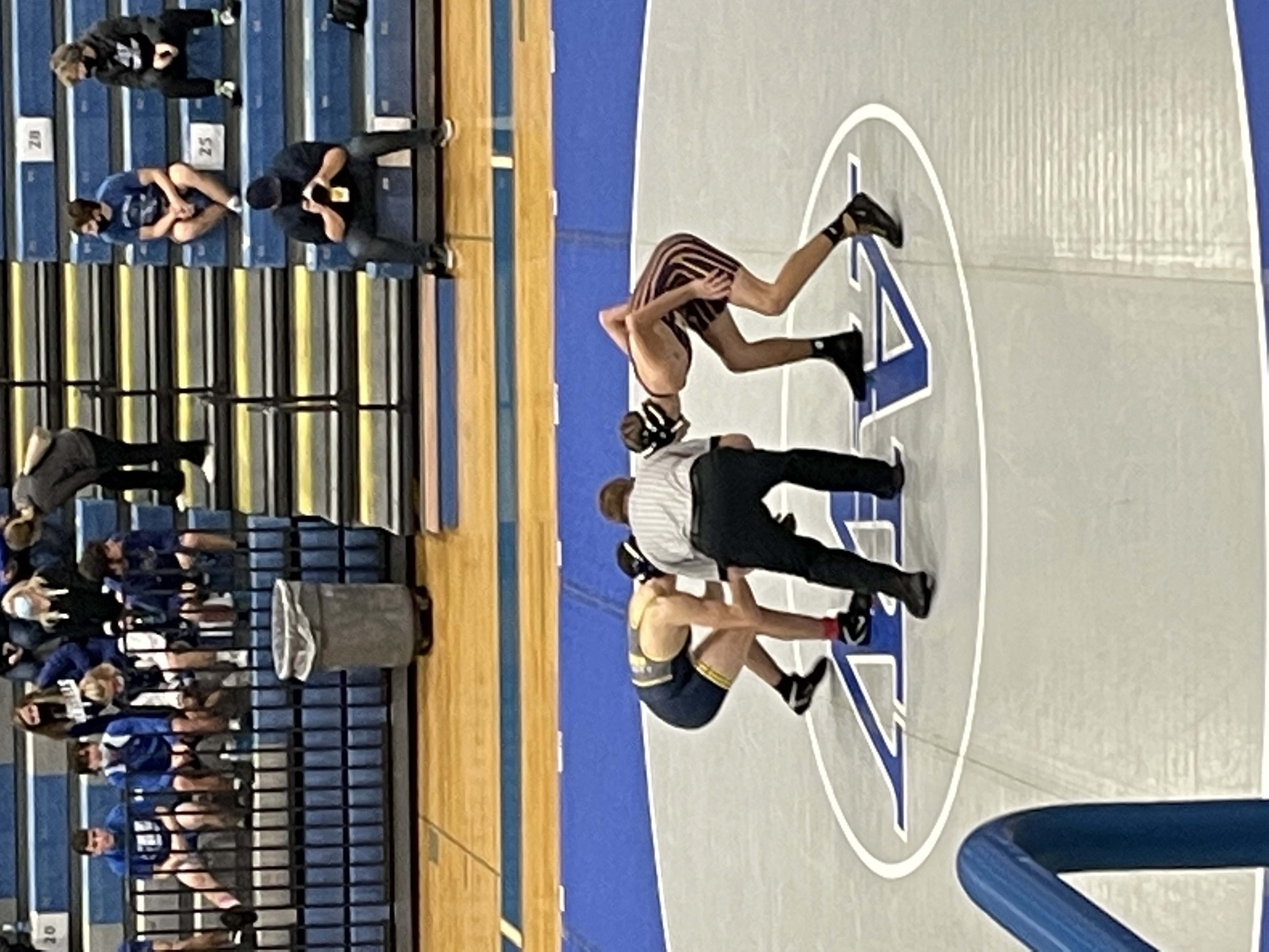 Maumee - Team Home Maumee Panthers Sports