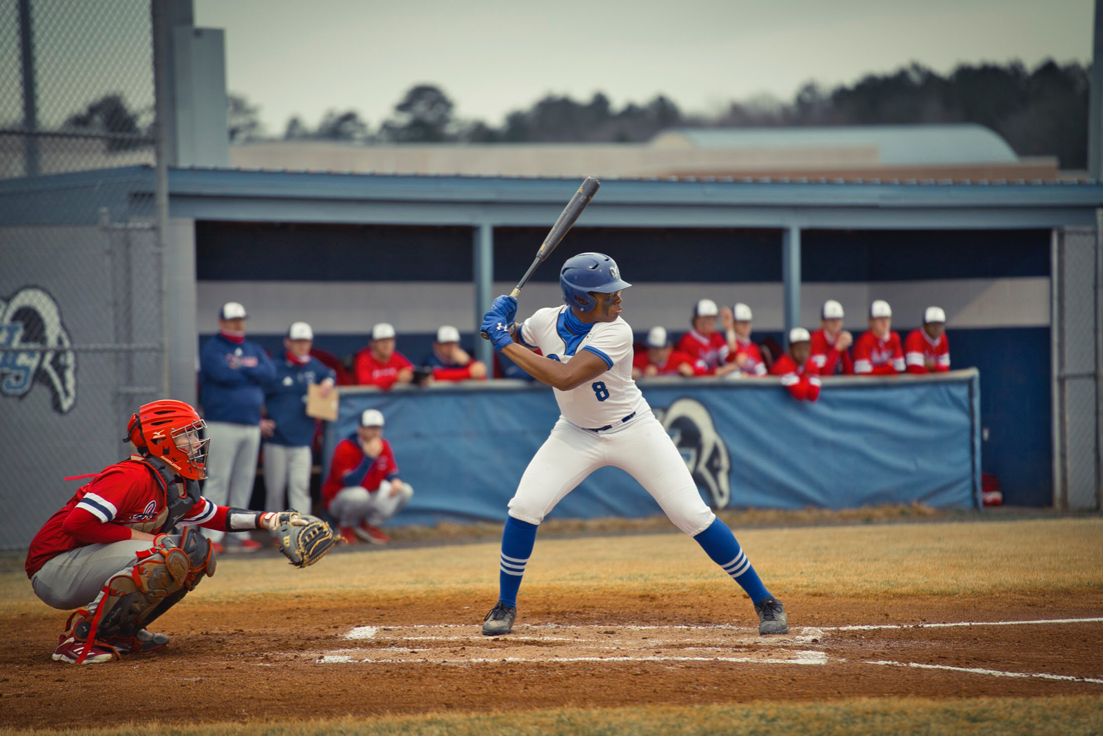 Newton - Team Home Newton Rams Sports