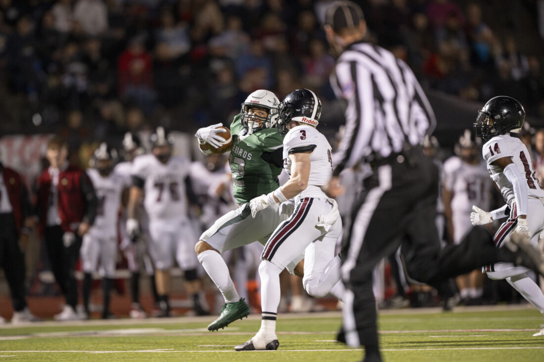 Lawrence - Team Home Lawrence Chesty Lions Sports