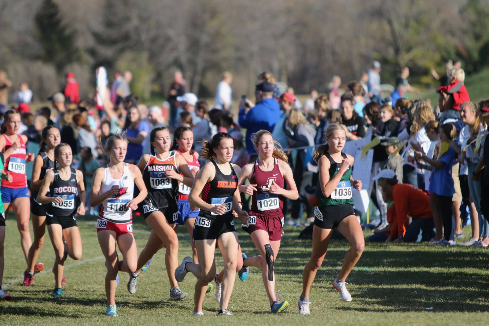 Jordan - Team Home Jordan Hubmen & Jaguars Sports