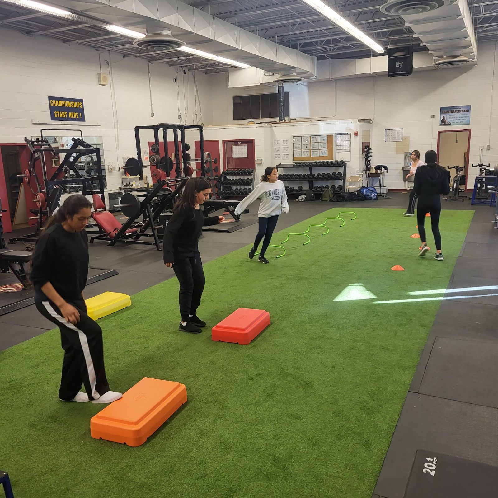 Unity Reed - Team Home Unity Reed Lions Sports