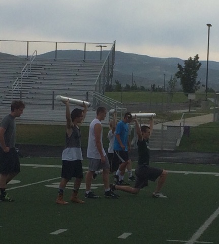 Wasatch - Team Home Wasatch Wasps Sports