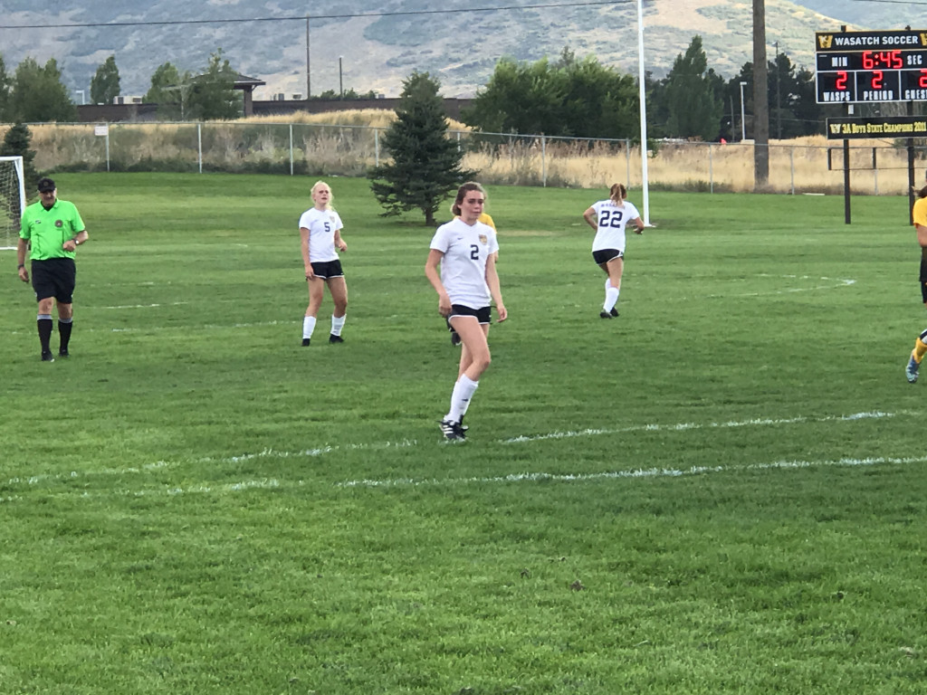 Wasatch - Team Home Wasatch Wasps Sports