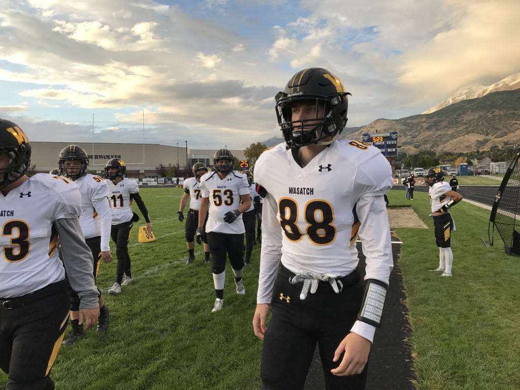 Wasatch - Team Home Wasatch Wasps Sports