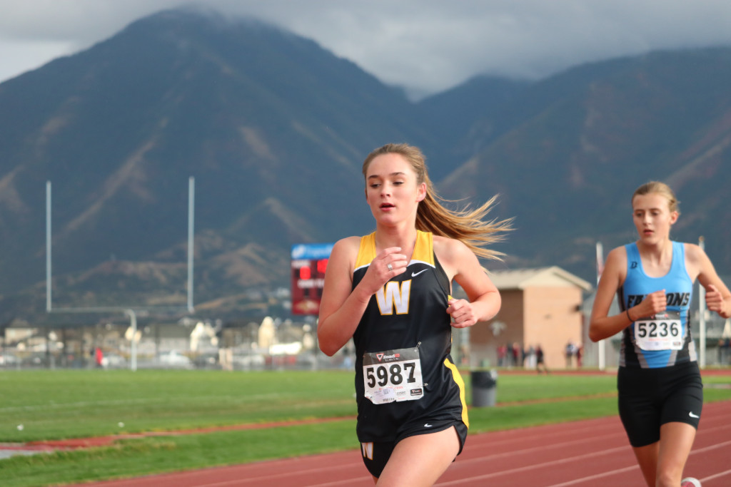 Wasatch - Team Home Wasatch Wasps Sports