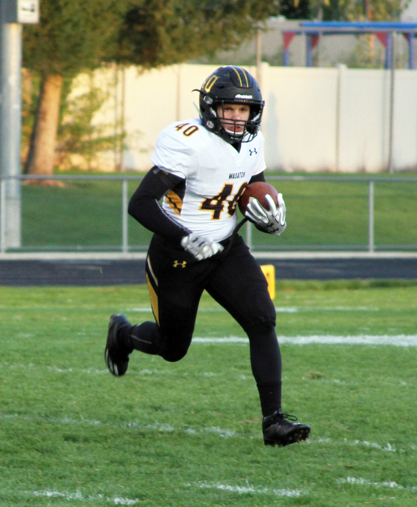 Wasatch - Team Home Wasatch Wasps Sports