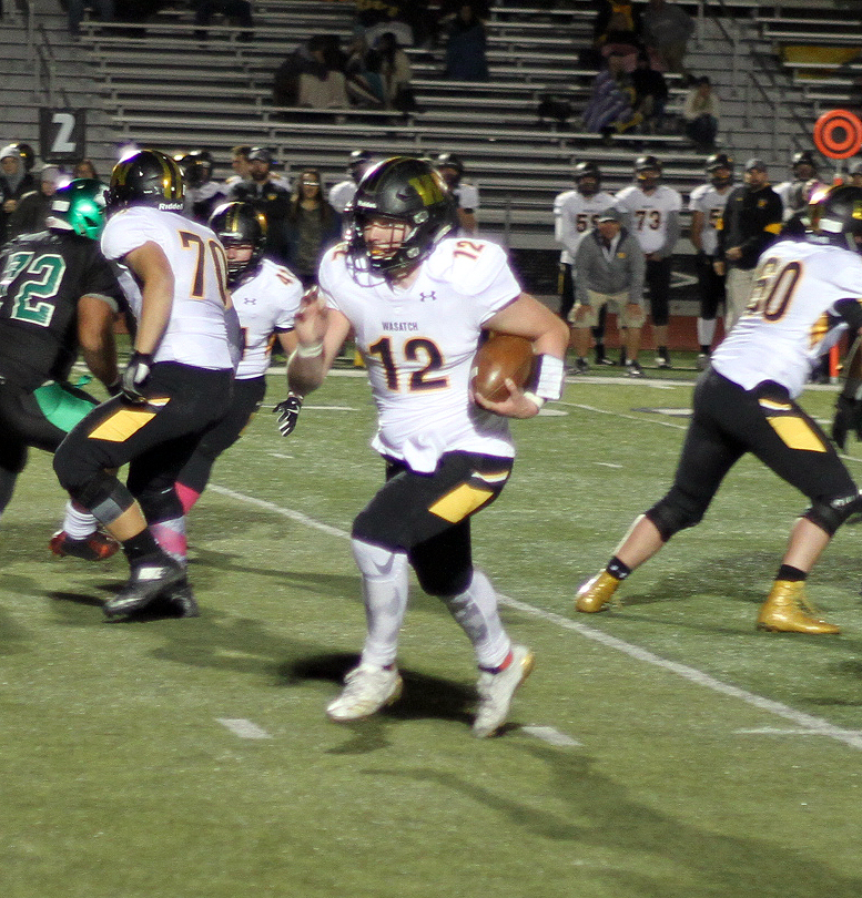 Wasatch - Team Home Wasatch Wasps Sports