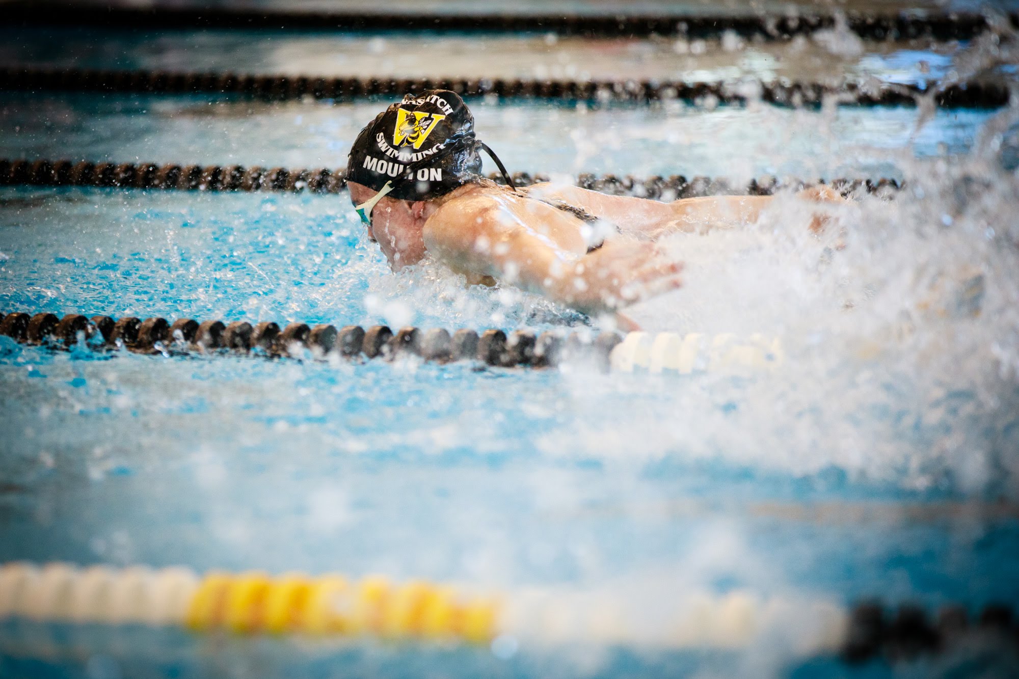 Wasatch - Team Home Wasatch Wasps Sports