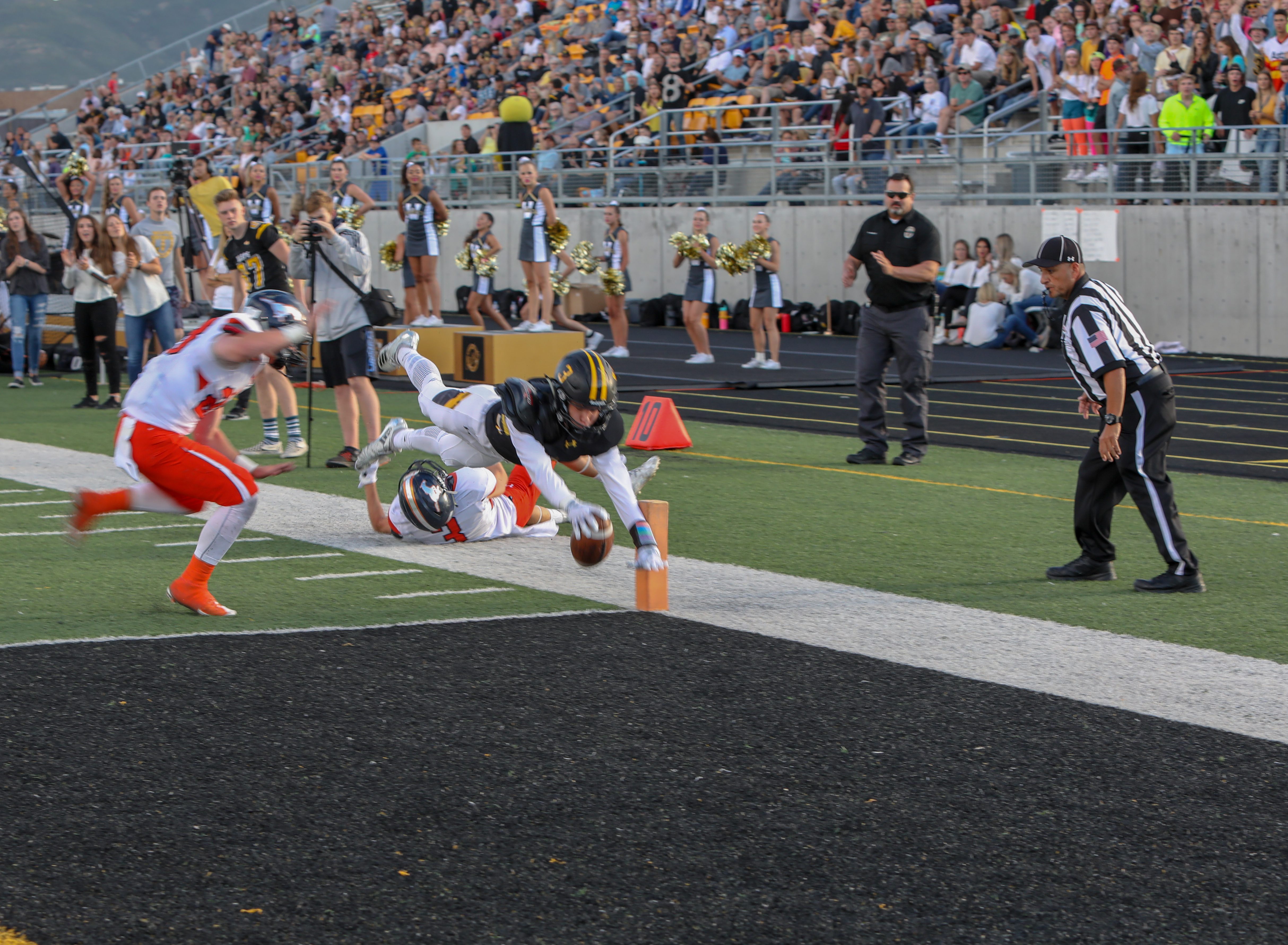 Wasatch - Team Home Wasatch Wasps Sports