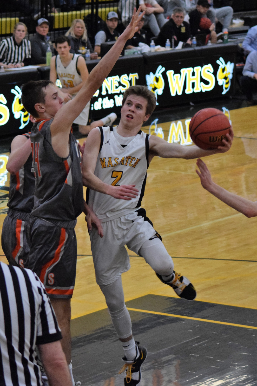 Wasatch - Team Home Wasatch Wasps Sports