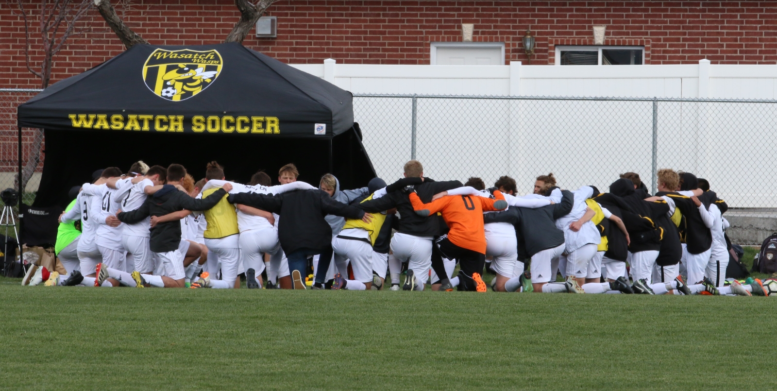 Wasatch - Team Home Wasatch Wasps Sports