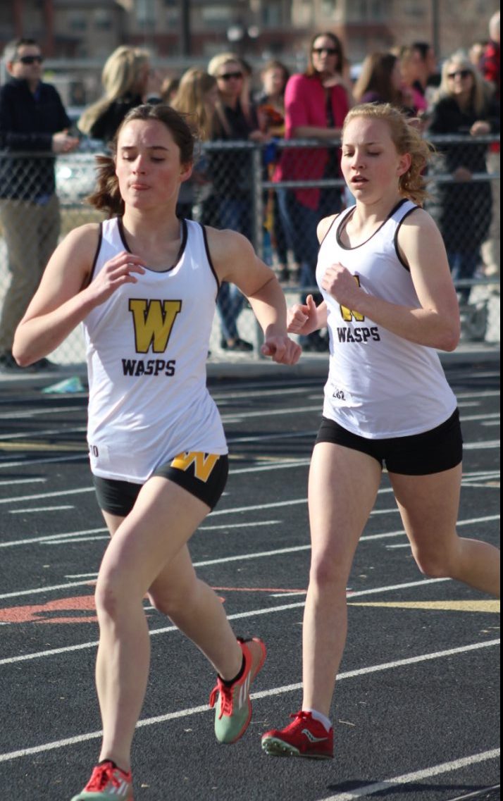 Wasatch - Team Home Wasatch Wasps Sports