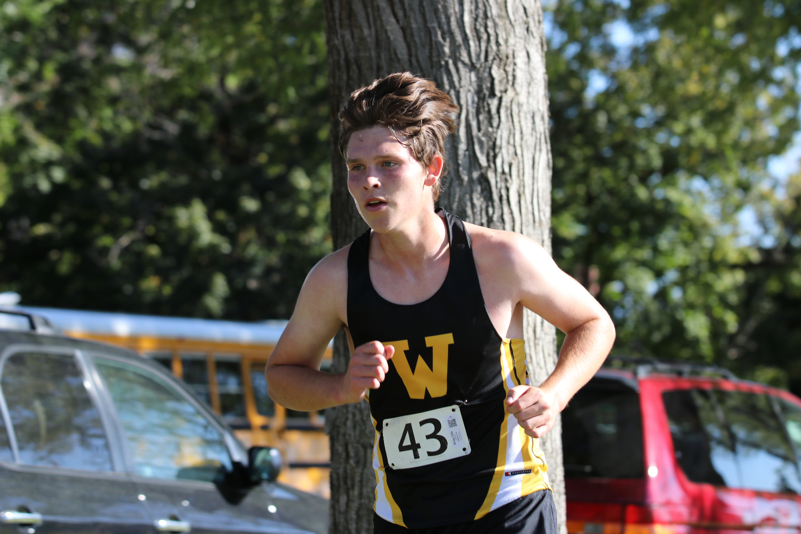 Wasatch - Team Home Wasatch Wasps Sports