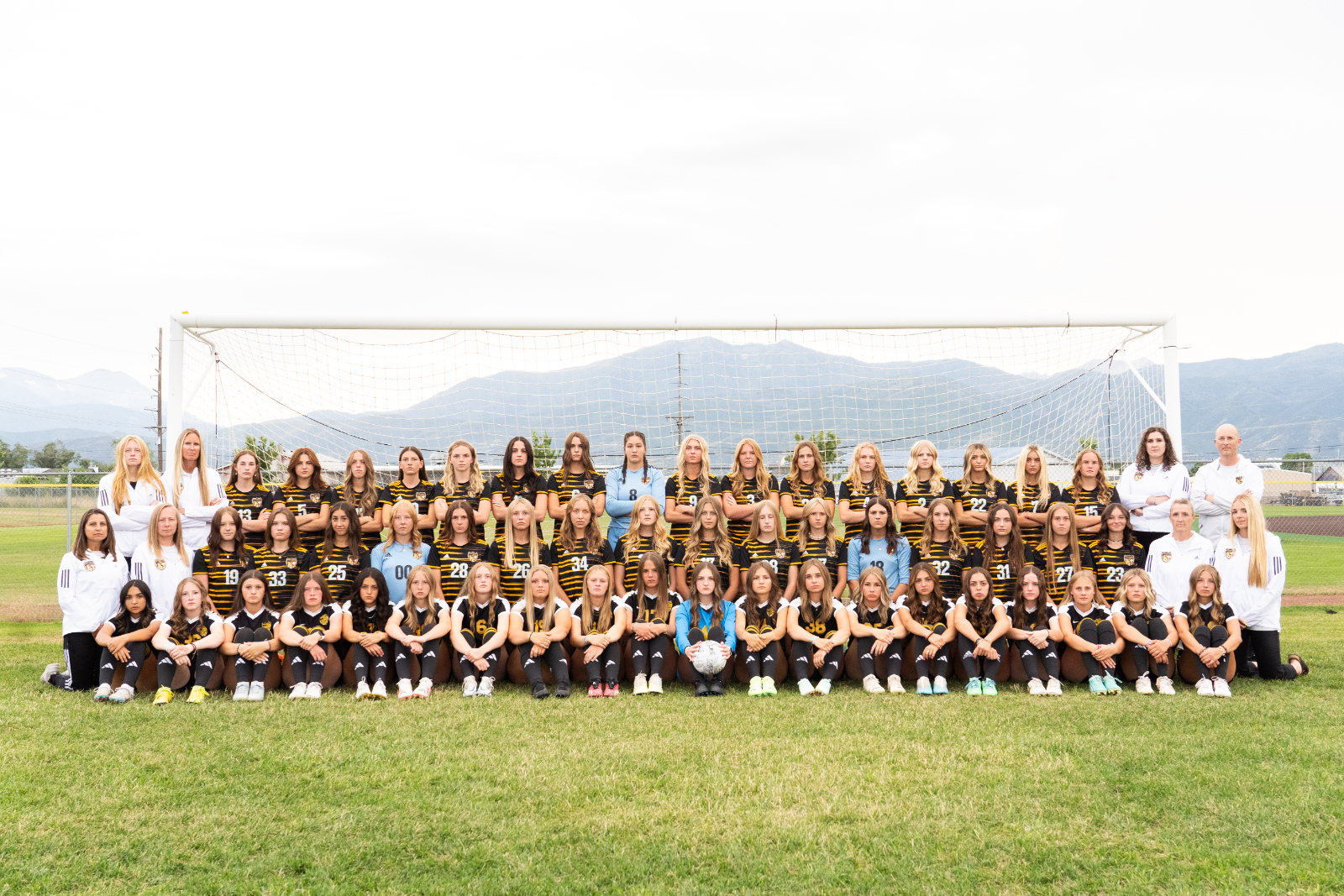 Wasatch - Team Home Wasatch Wasps Sports