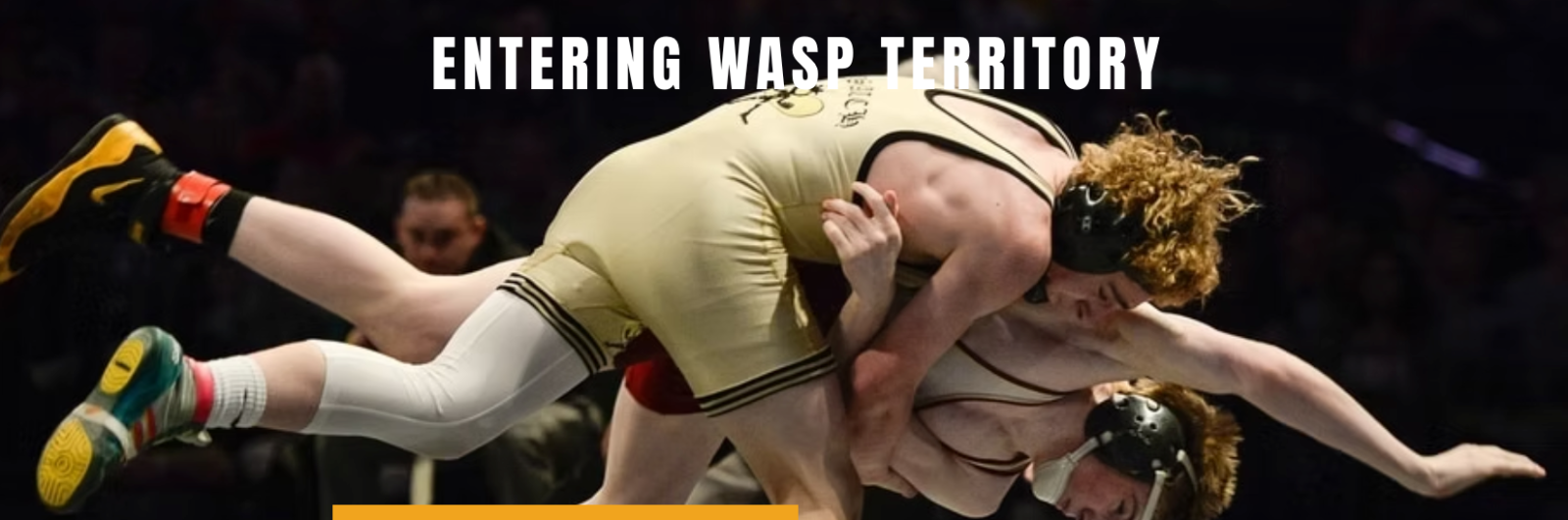 Wasatch - Team Home Wasatch Wasps Sports