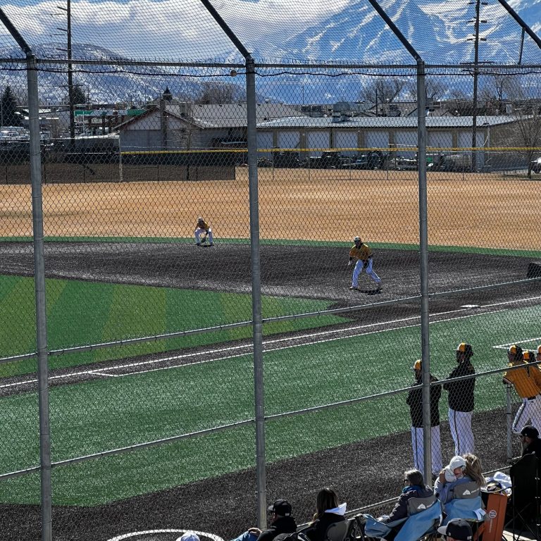 Wasatch Wasps - Official Athletic Website – Heber City, UT