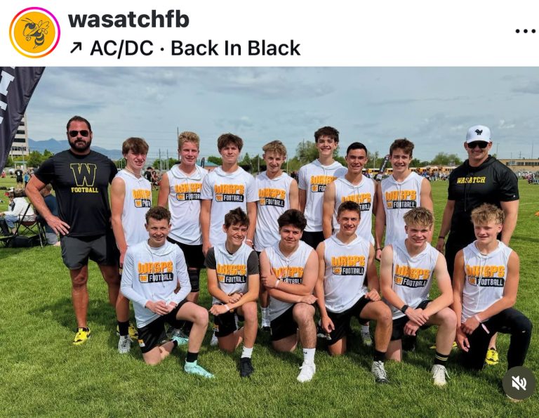 Wasatch Wasps - Official Athletic Website – Heber City, UT