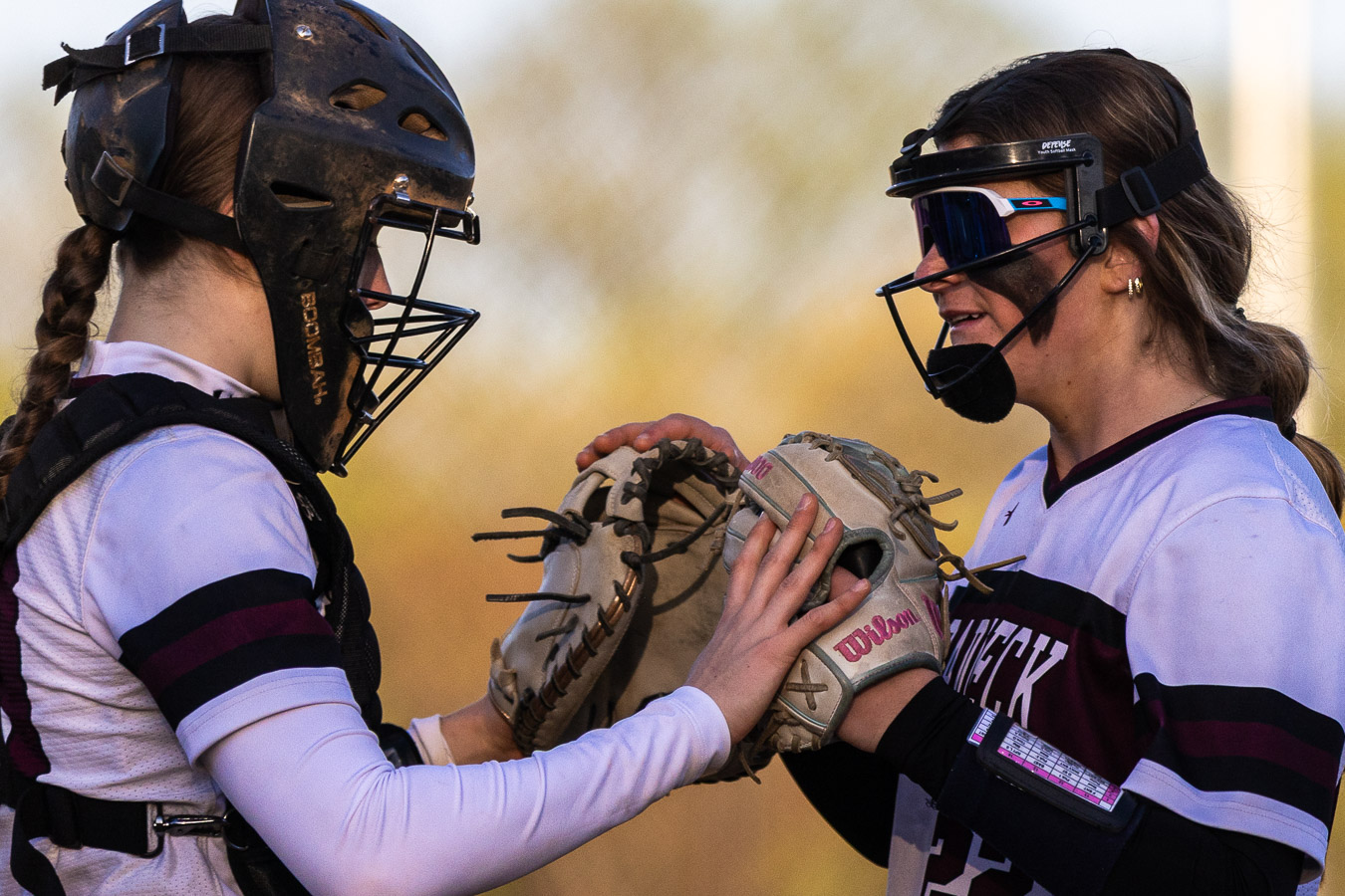 Broadneck - Team Home Broadneck Bruins Sports