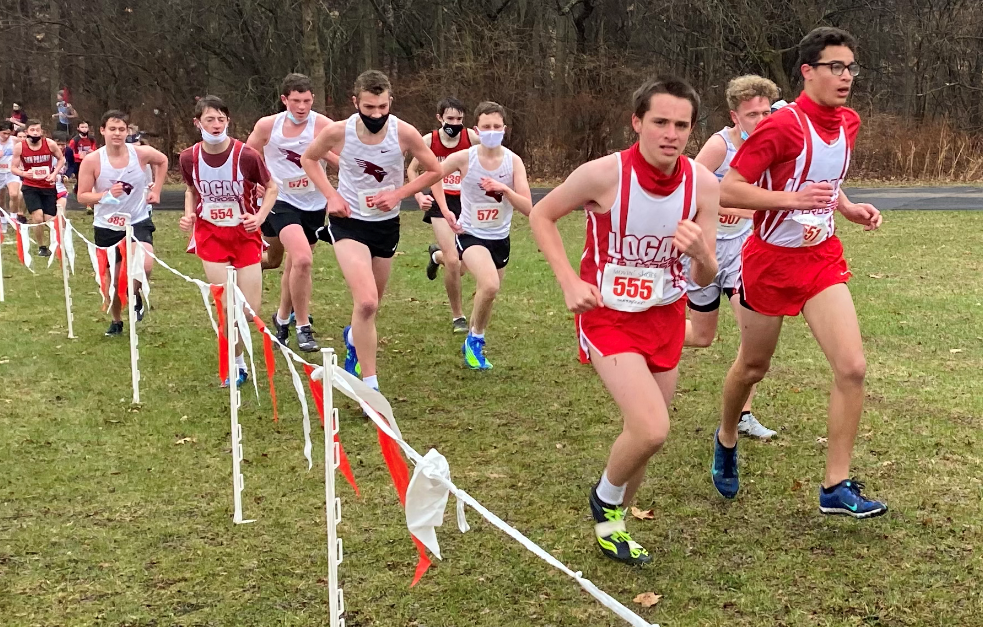 Logan - Team Home Logan Rangers Sports