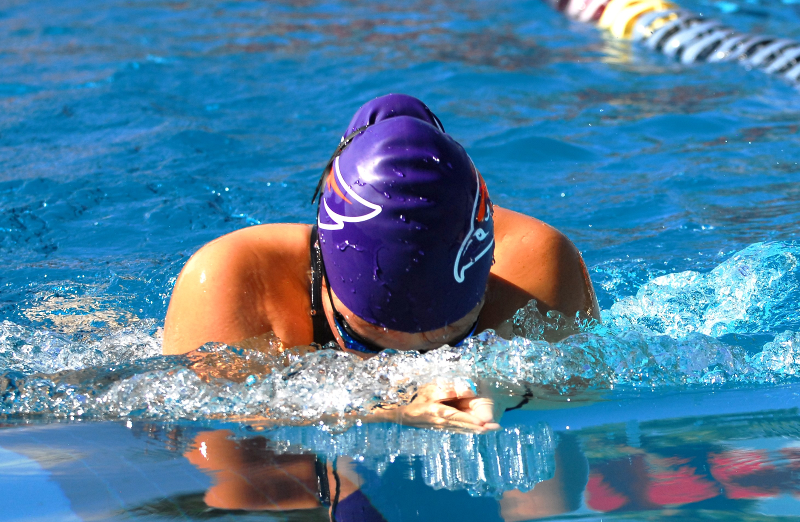 Horizon - Team Home Horizon Hawks Sports