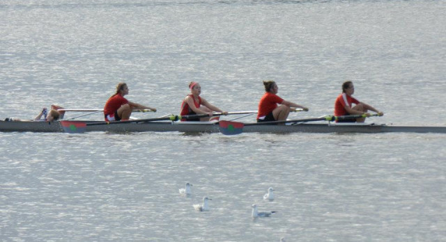 Central Catholic - Team Home Central Catholic Irish Sports