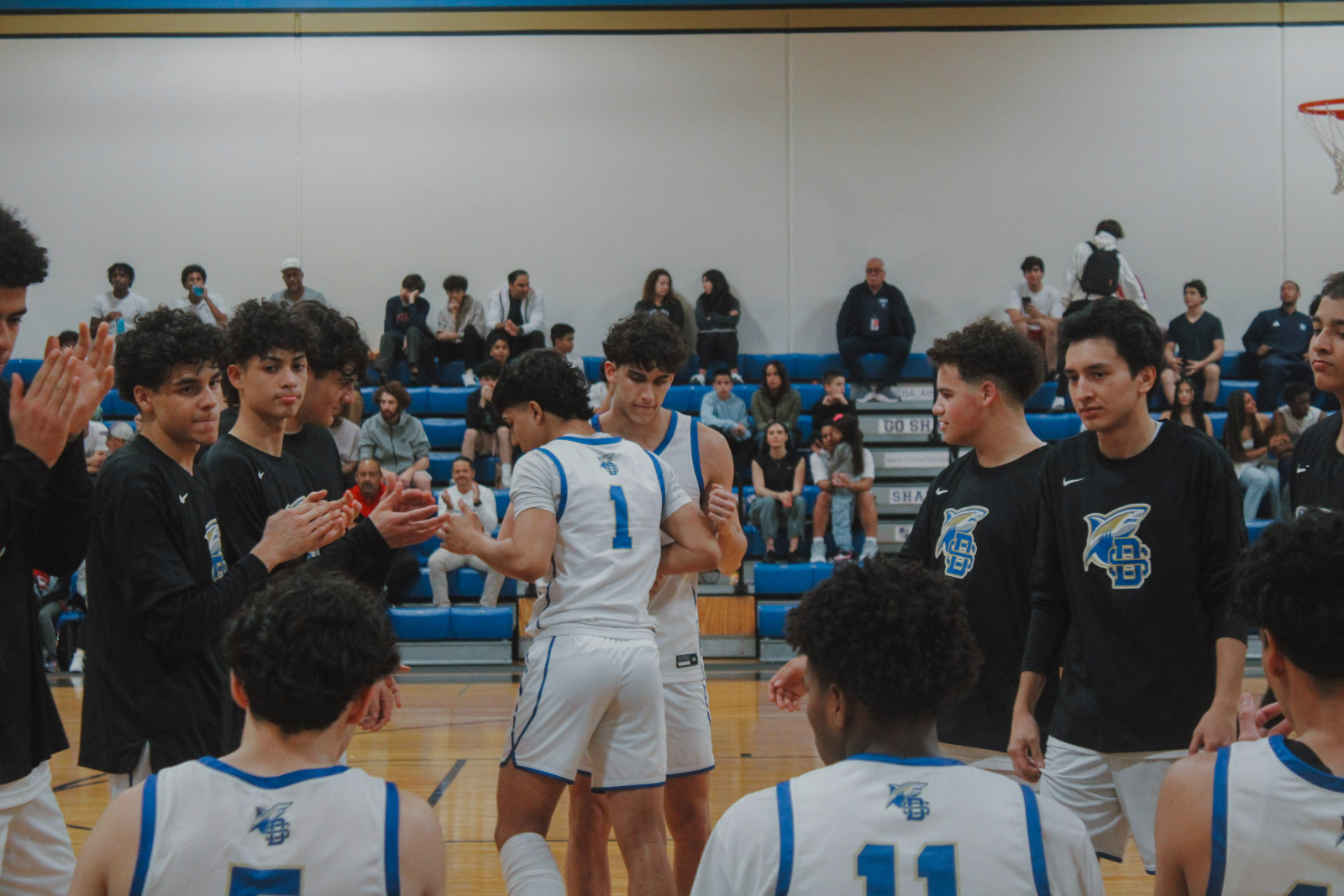 Divine Savior Academy - Team Home Divine Savior Academy Sharks Sports